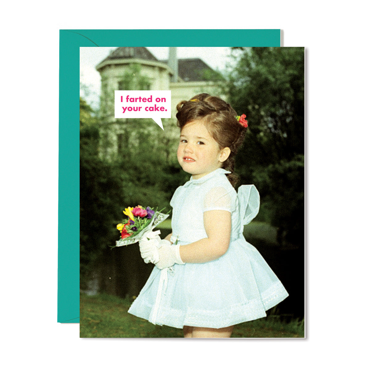 Funny clever sassy greeting card for women gift by Raccoon Society USA ...