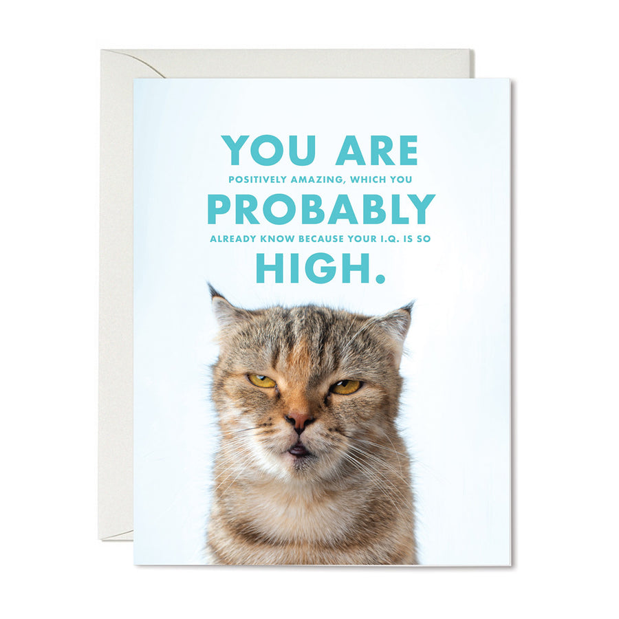 All-occasion Cards: these funny greetings ship for FREE. – THE RACCOON ...